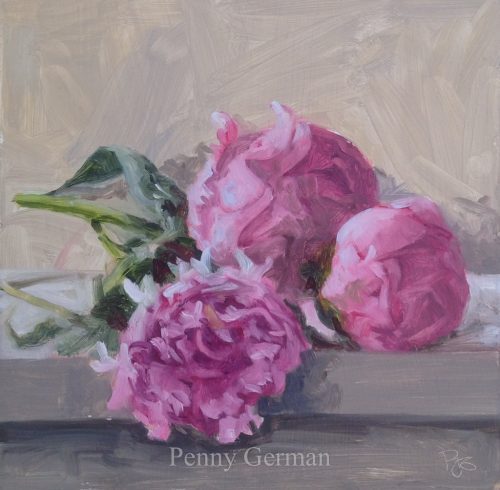 Cut peonies | Penny German